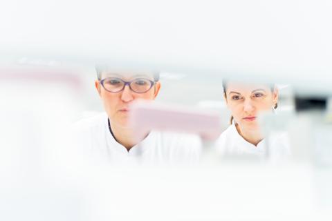 HLA-Typisierung | DRK-Blutspendedienst West